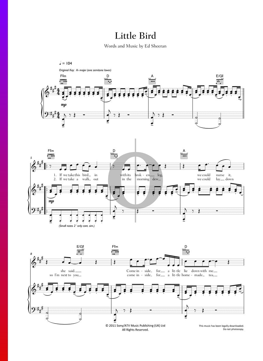 Little Bird (Ed Sheeran) Piano Sheet Music - OKTAV