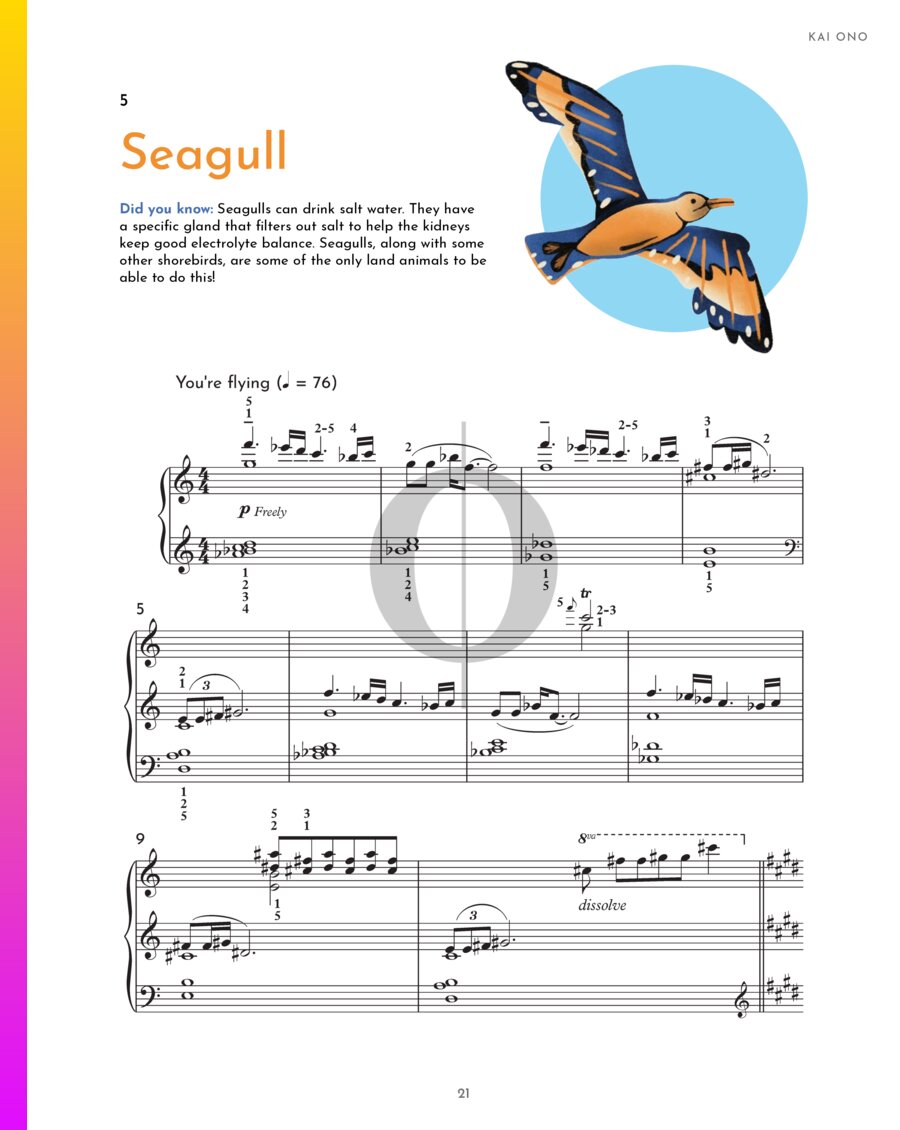 Seagull (Kai Ono) Piano Sheet Music - OKTAV